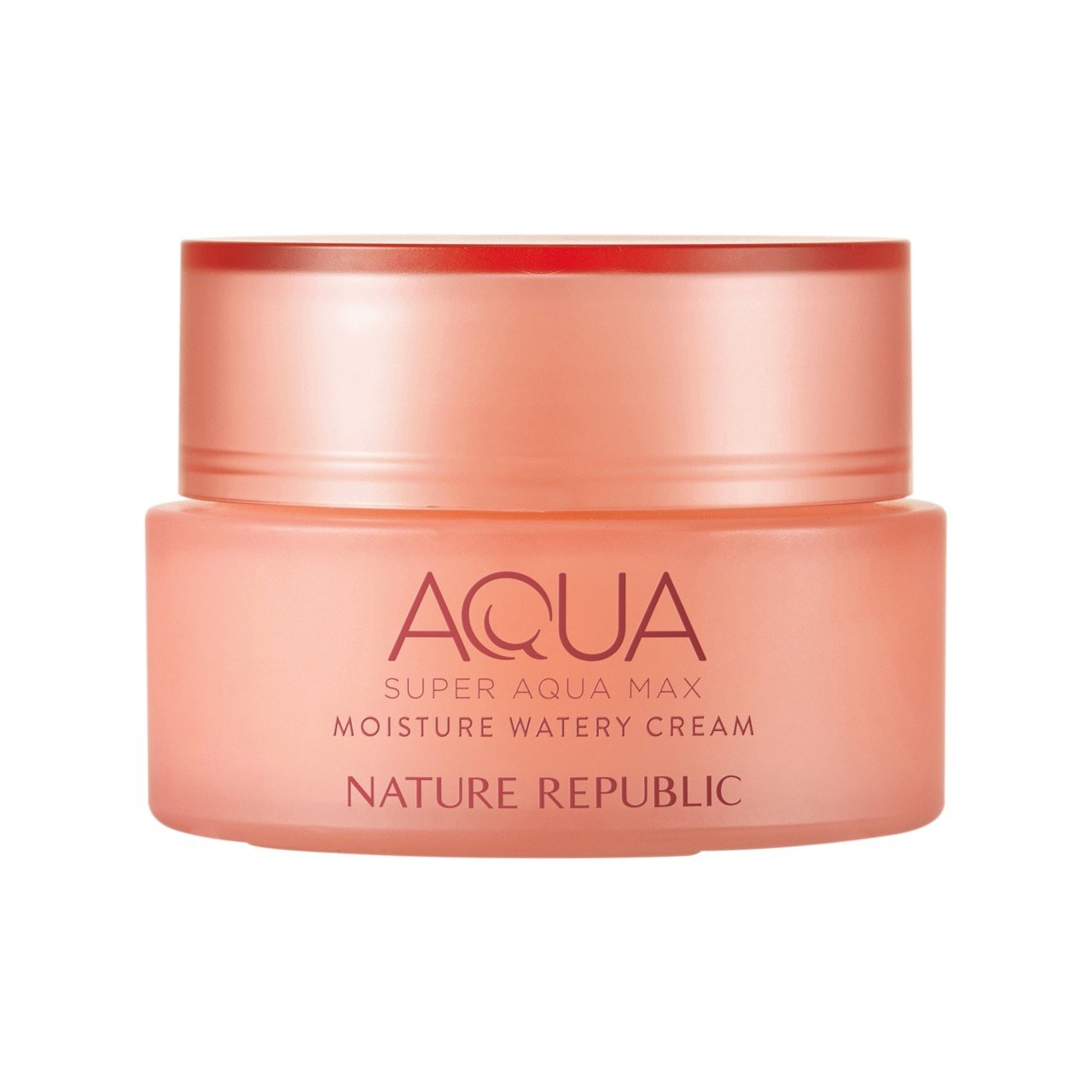 Super Aqua Max Moisture Watery Cream – naturerepublic